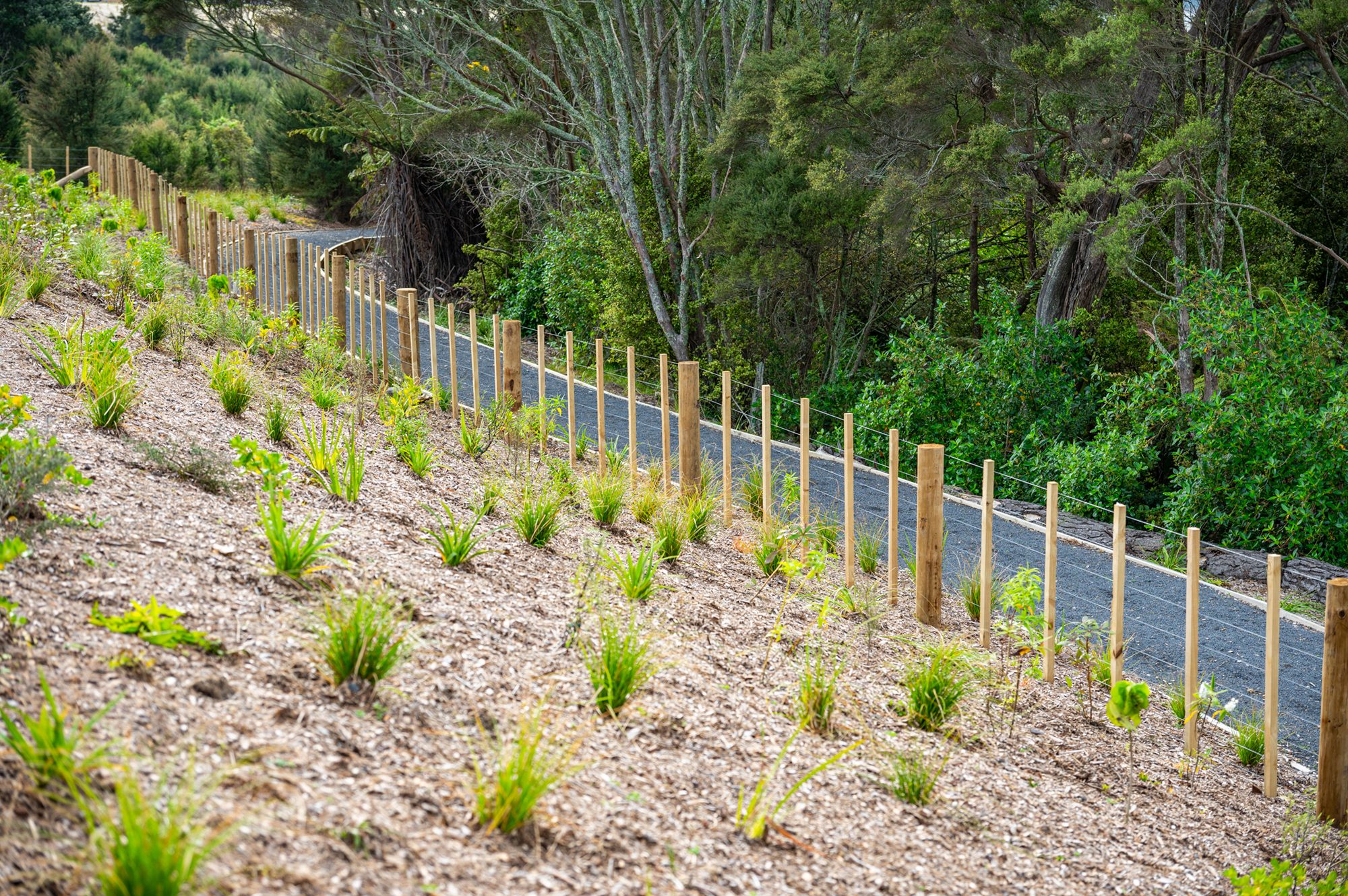 Commercial Landscaping & Greenscape Maintenance Auckland
